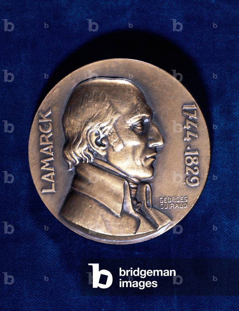 Image of Jean Lamarck (1744-1829) French naturalist. 'Transformism ...