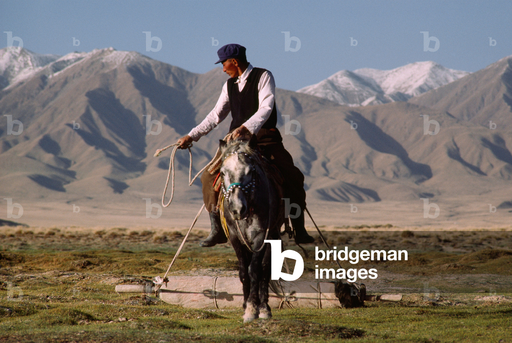 Image of A shepherd drags felt behind his horse for the wool by ...