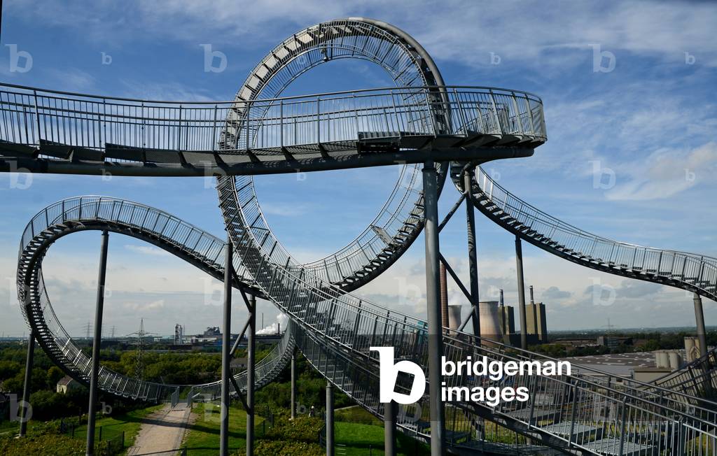 Image of Tiger and Turtle - Magic Mountain