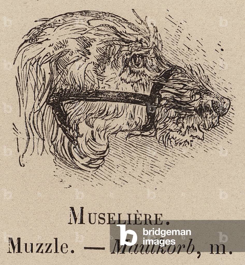 Image of Le Vocabulaire Illustre: Museliere; Muzzle; Maulkorb ...