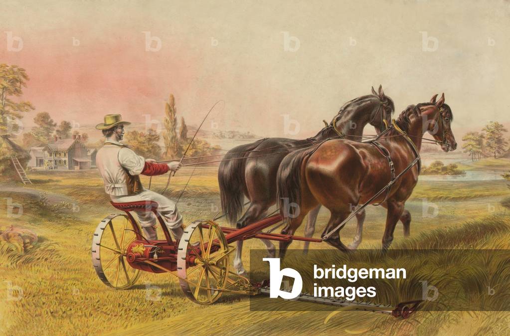 Image of A farmer drives a horse-powered mowing machine, ca. 1870. The