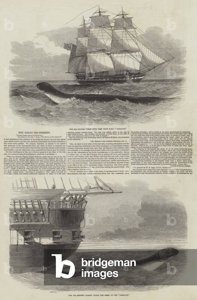 Image of The Great Sea-Serpent (engraving) by Weedon, Edwin (1819-79)