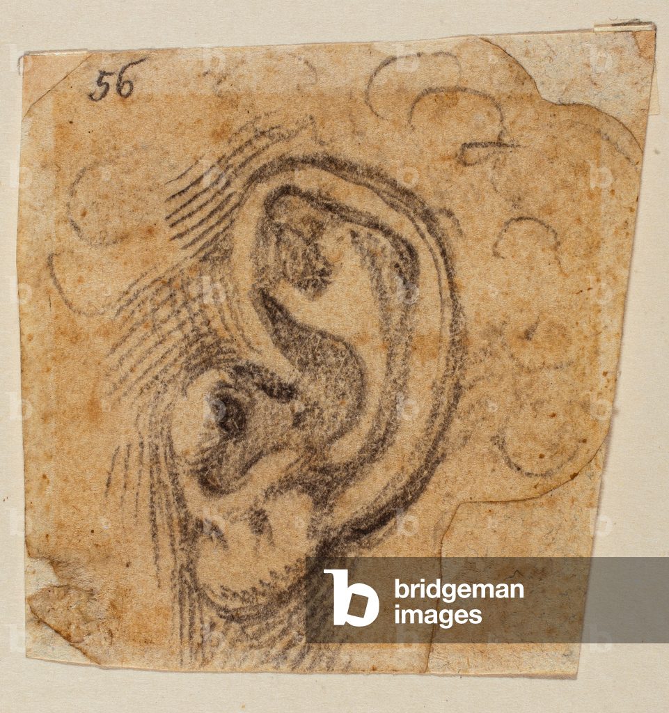 Image of Ear study, 16th century (drawing) by Buonarroti, Michelangelo ...