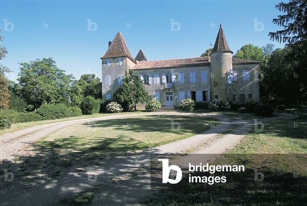 Image of Walkway in front of a castle, Castelmore Castle, Midi-Pyrenees ...