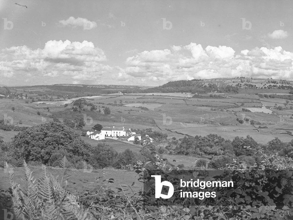 Image of View of the Hare and Hounds Inn surrounded by open by Hardman ...