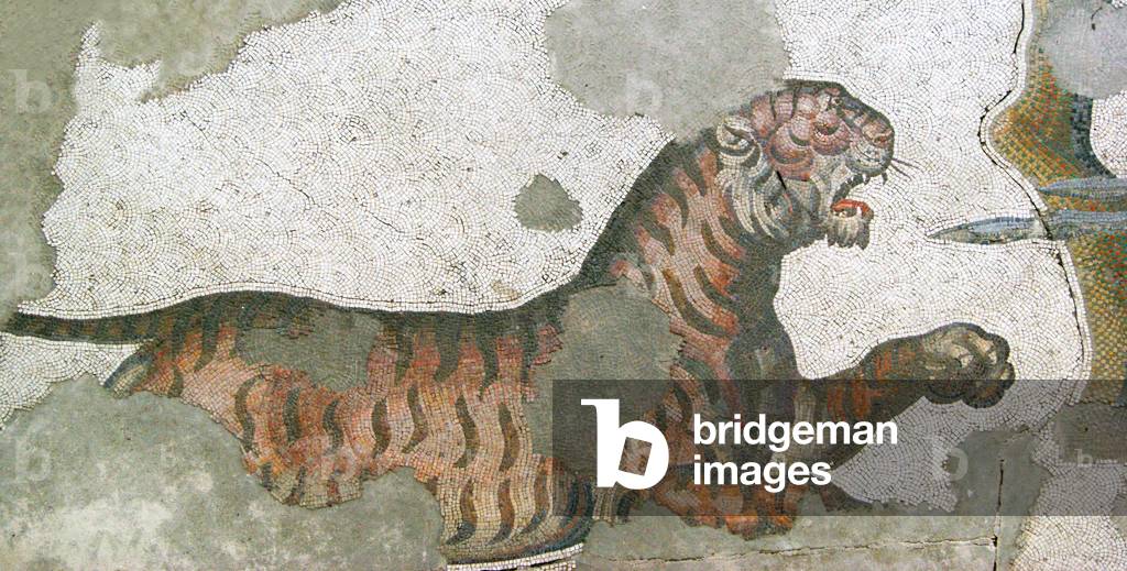 Image of Mosaic depicting a Tiger hunt, Arasta Bazaar, Sultan Ahmet ...