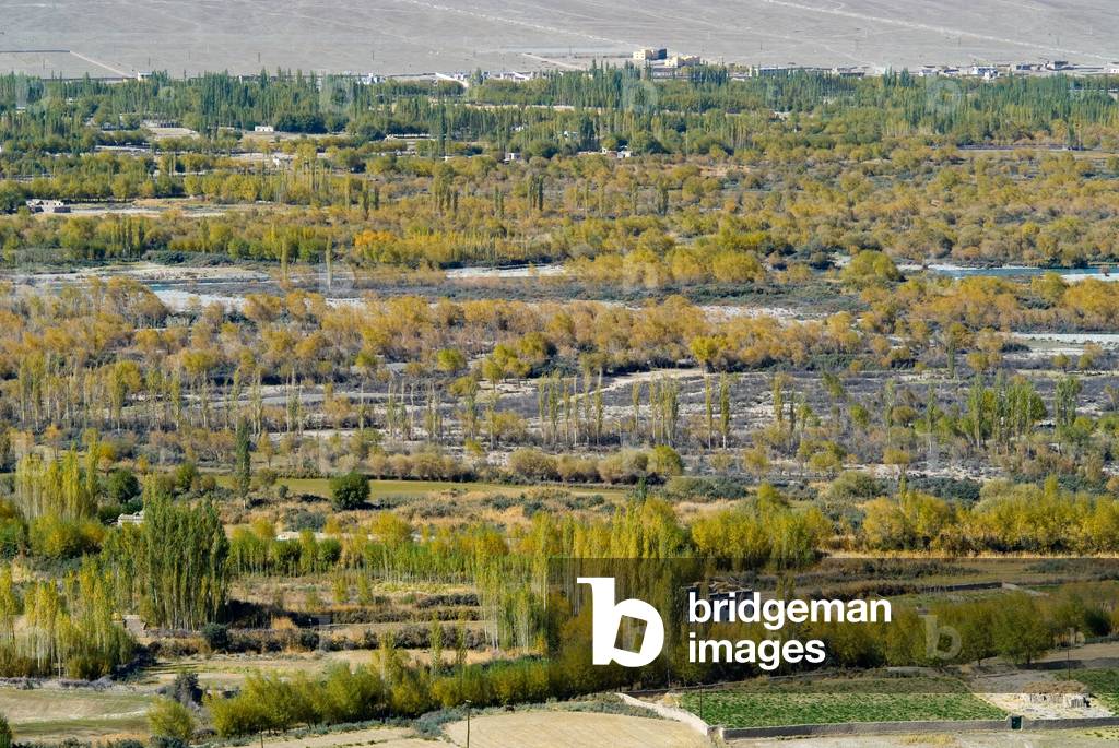 Cultivation in fertile Indus river valley on desert edge: Fields ...