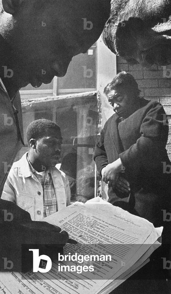 Freedom Summer 1964 Facts