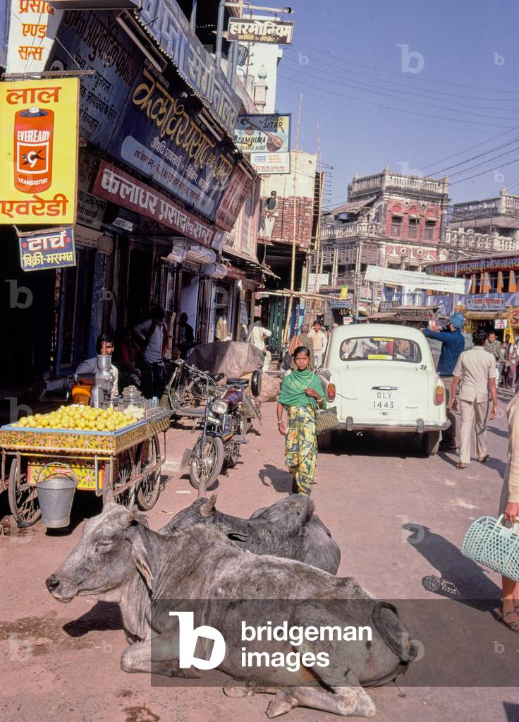 Scenes From Benares India