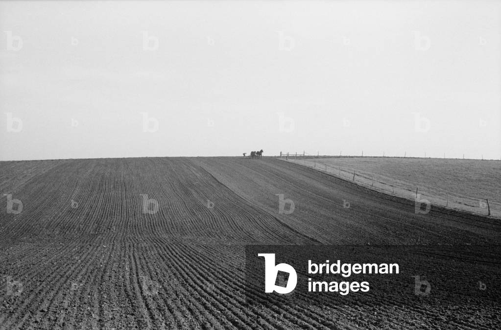 Image of Spring corn planting in Jasper County, Iowa. The horse drawn