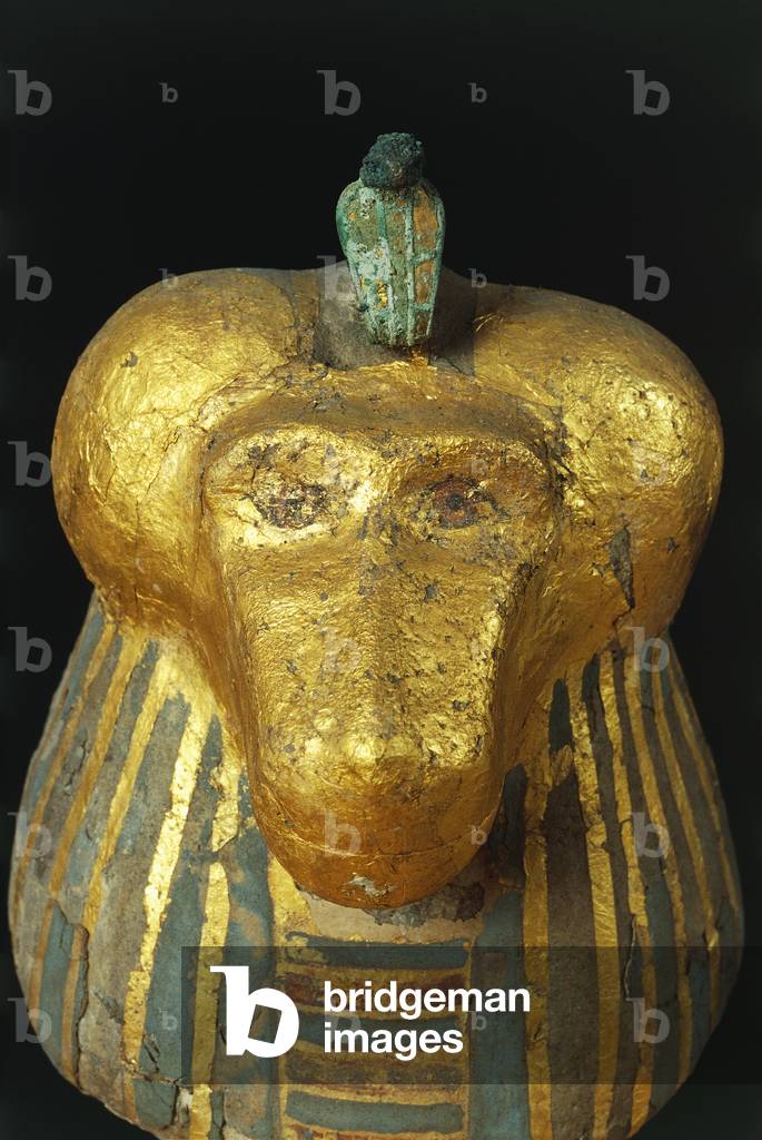 Image of Head of a baboon, symbol of the god Hapi, detail