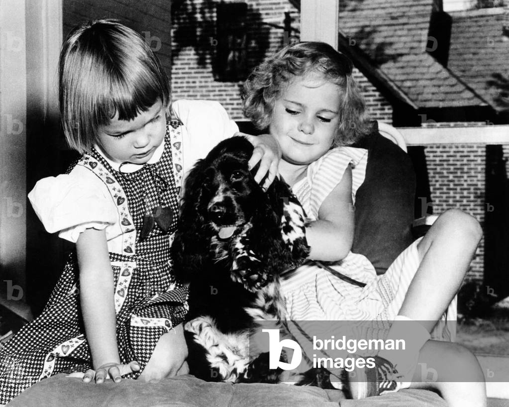 Image of Julie and Tricia Nixon playing with their cocker spaniel ...
