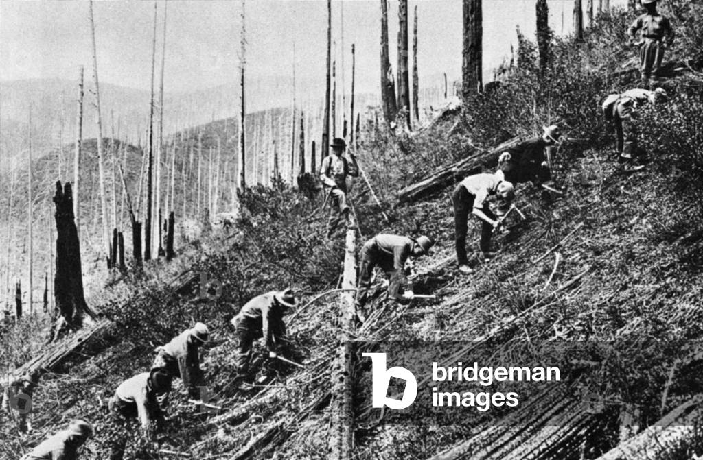 New Deal Ccc Amazon.com: New Deal CCC 1936 Na Group Of Civilian