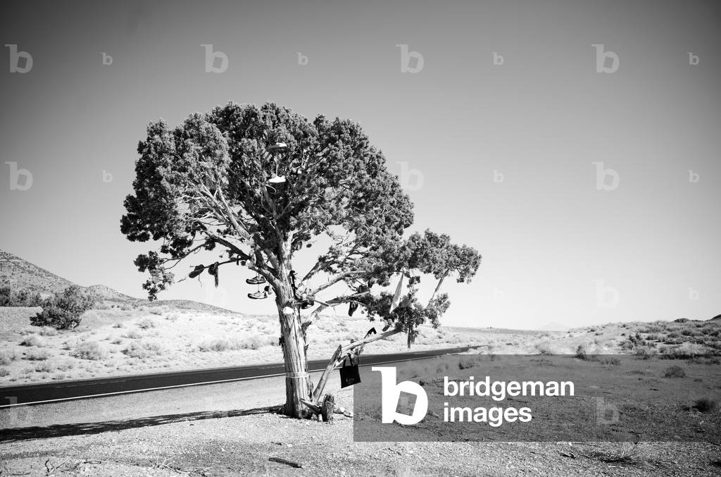 Image of Open road through Nevada, USA, 2022 (b/w photo) by Nicholson, Jon