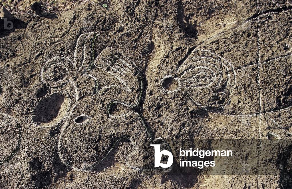 Image of Stone carvings at Orongo, Rapa Nui National Park (Unesco World