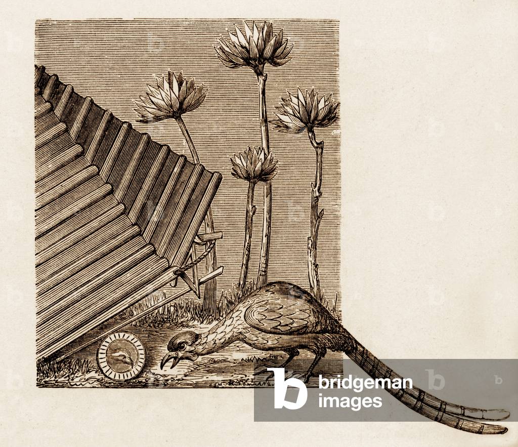 Image of Medieval pheasant hunting