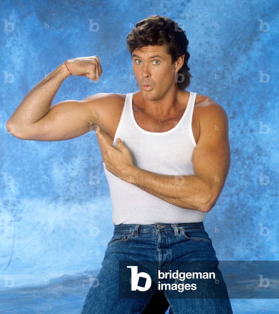 Image of David Hasselhoff, 1990 (photo)