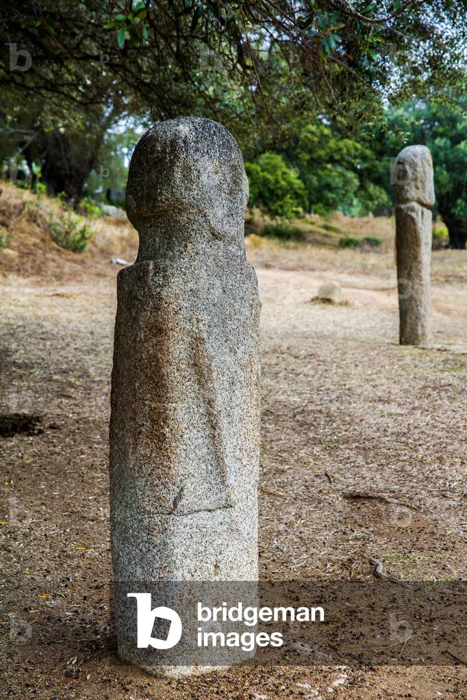 Image of Menhir statues in the plain in front of a 1200