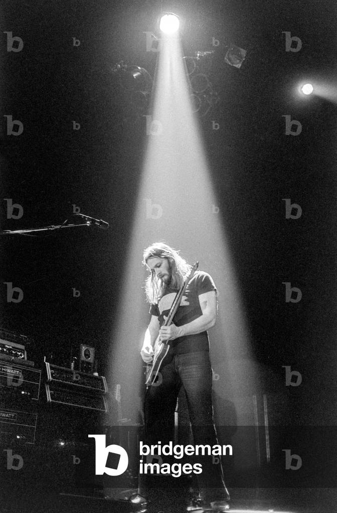 David Gilmour 1977
