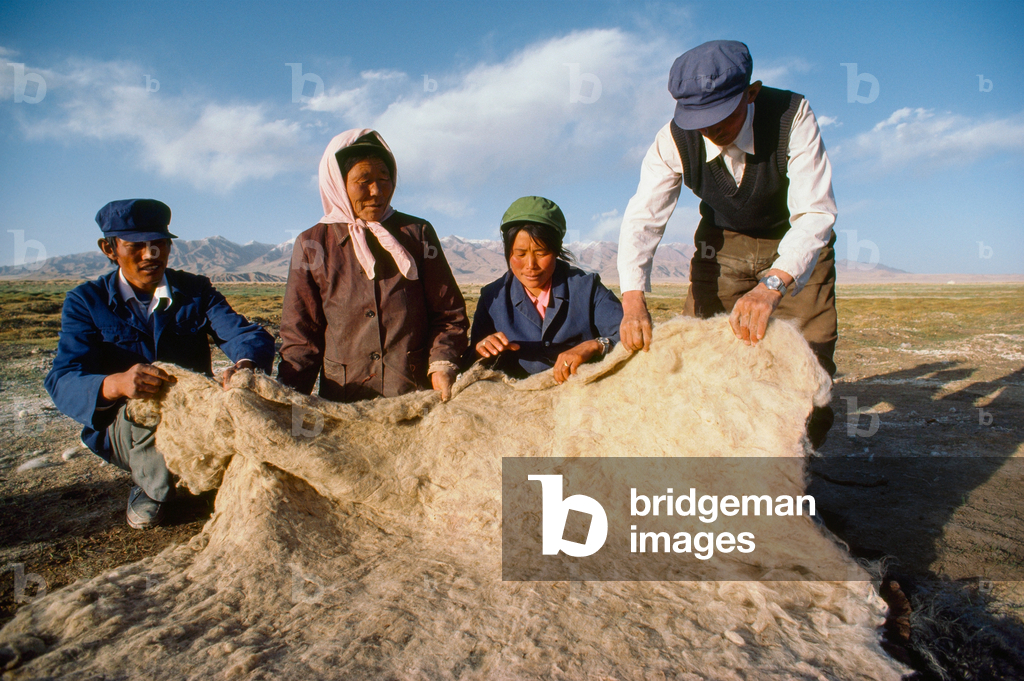 Image of A Mongolian family examines a roll of fresh felt for by ...