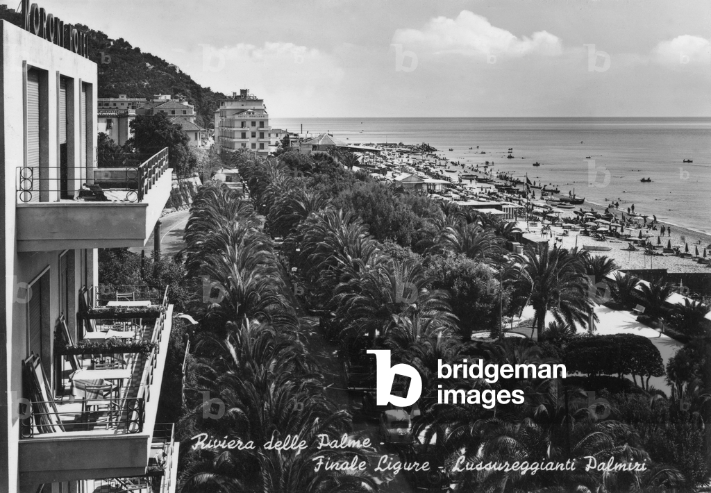 Image of Riviera delle Palme, Finale Ligure, Lussureggianti Palmiri ...