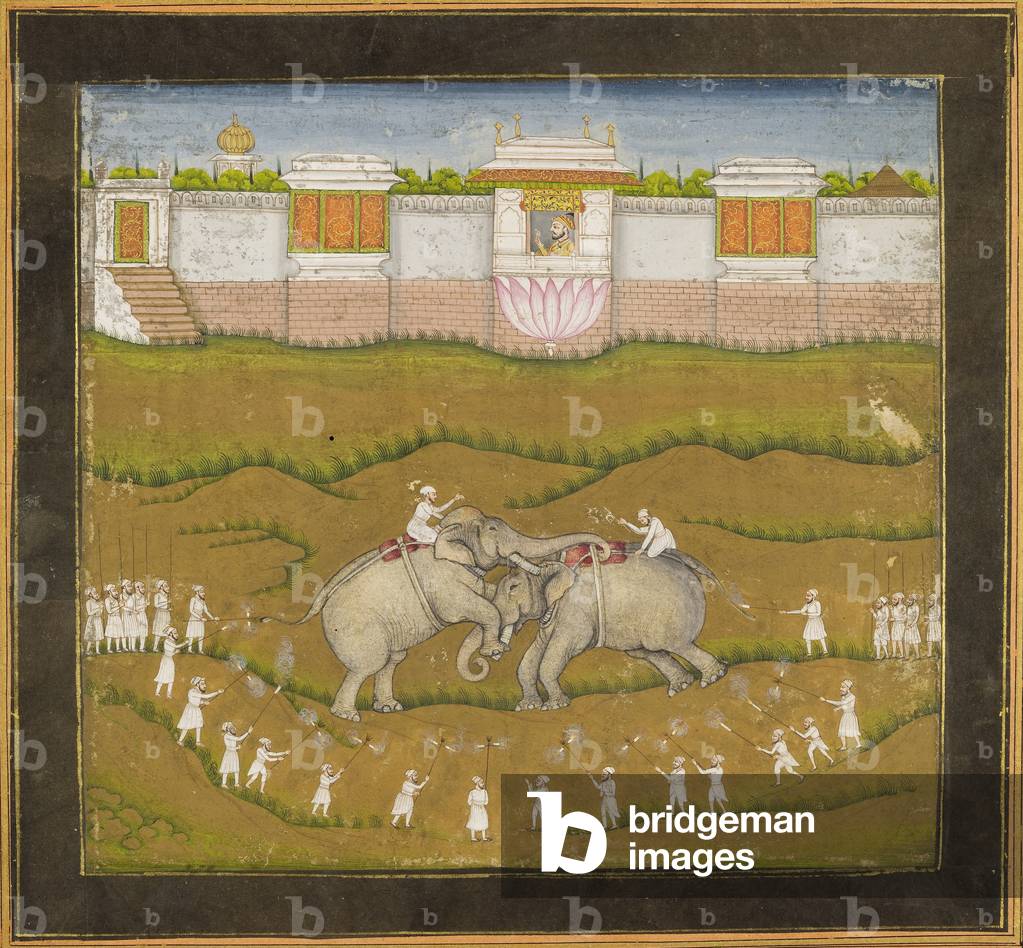 Image of Elephant fight with Emperor looking on in the background ...