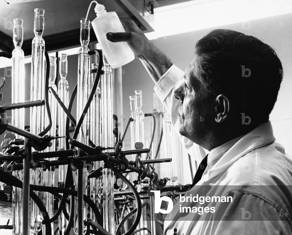 Image of Side profile of a researcher doing a scientific experiment
