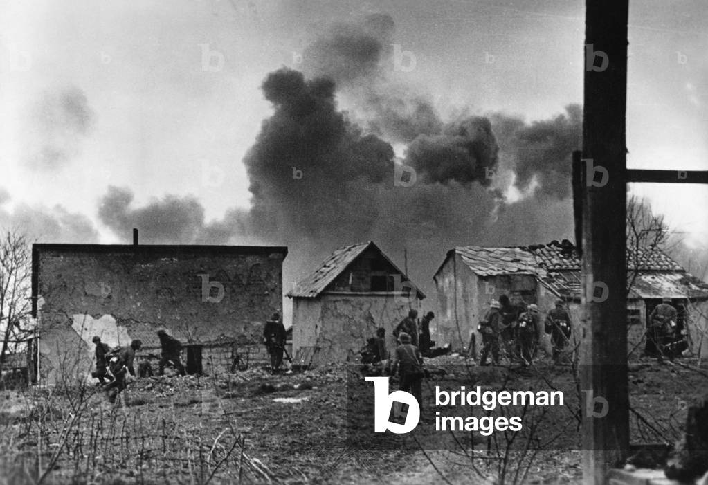 Image of German soldiers in the Kuban Bridgehead, Taman Peninsula, 1943