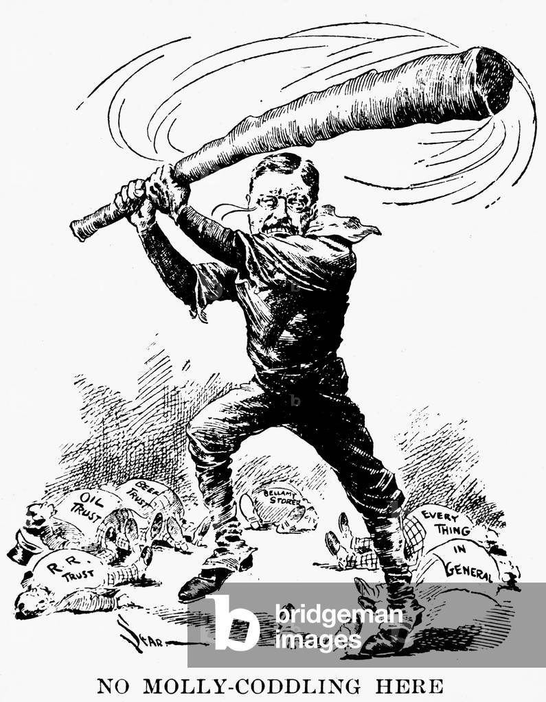 Theodore Roosevelt Cartoon