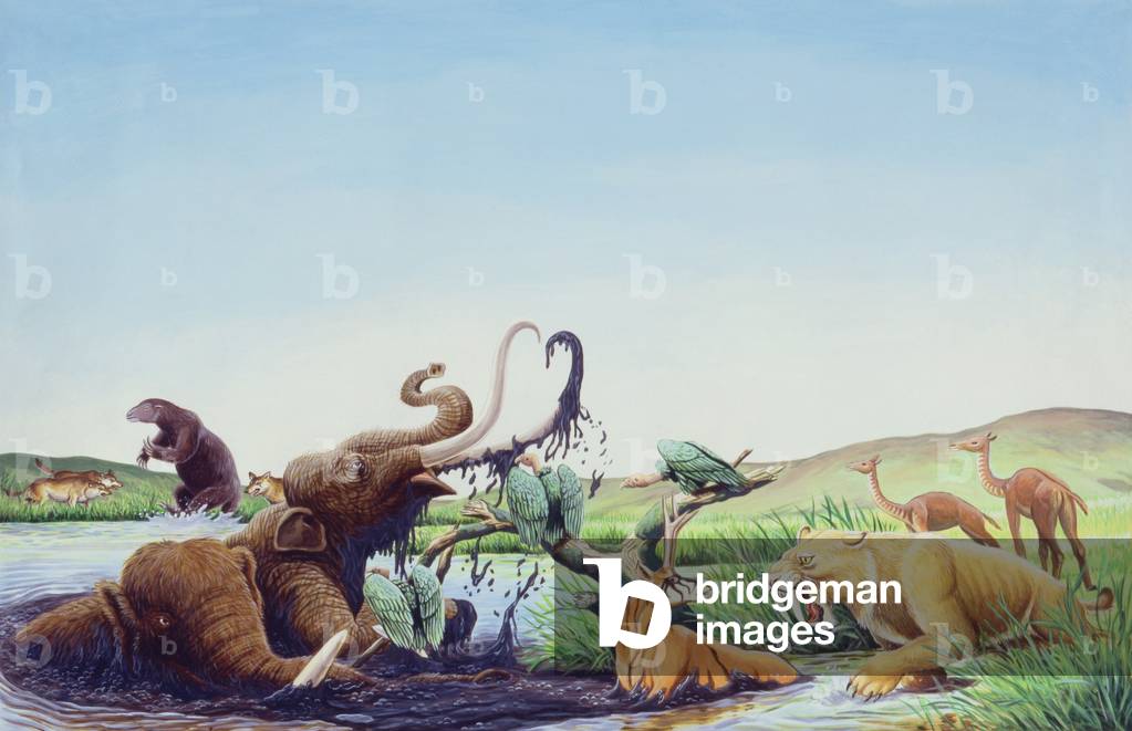 Image of Illustration of various extinct mammals (photo)