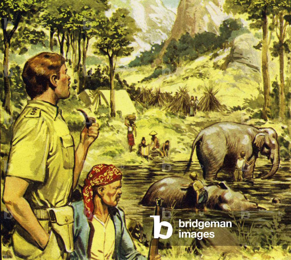 Image of Elephant Bill had to cut paths through the jungle for by ...