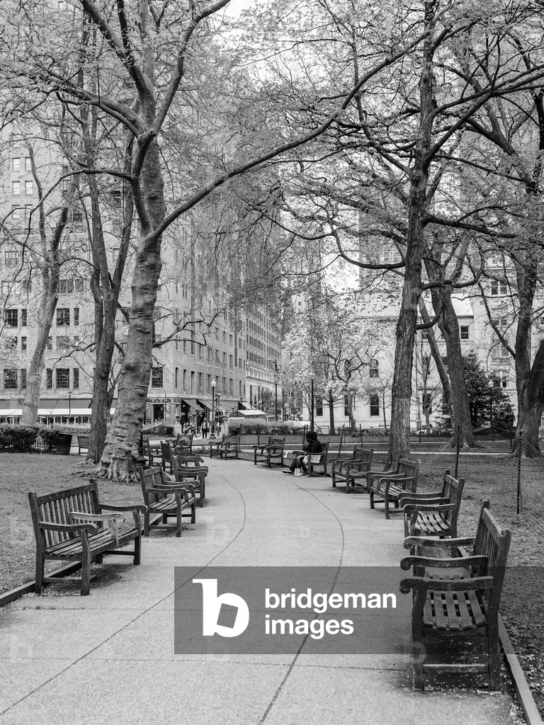 Image of Rittenhouse Square Walkway B&W, 2025 (photo) by Bilous, Jon