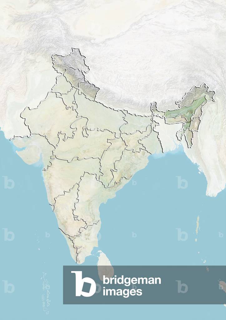 Image of India and the State of Assam, Relief Map