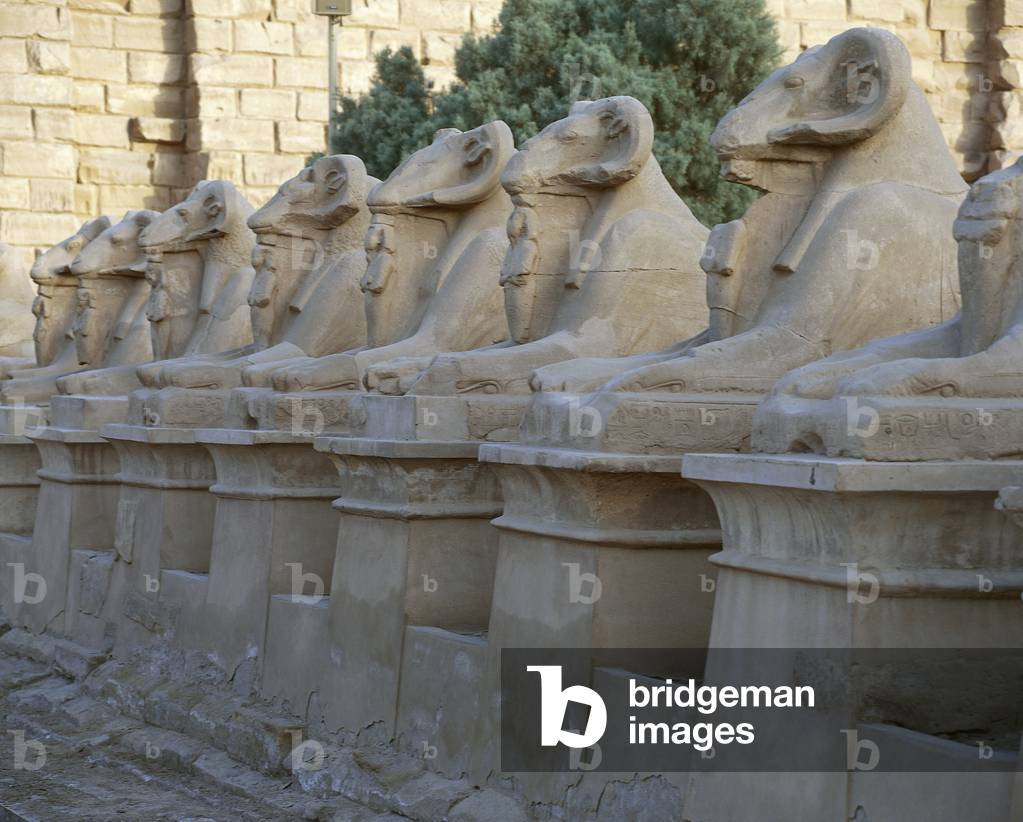 Image of Egypt, Ancient Thebes, Luxor, Karnak, Temple of Amon, avenue of