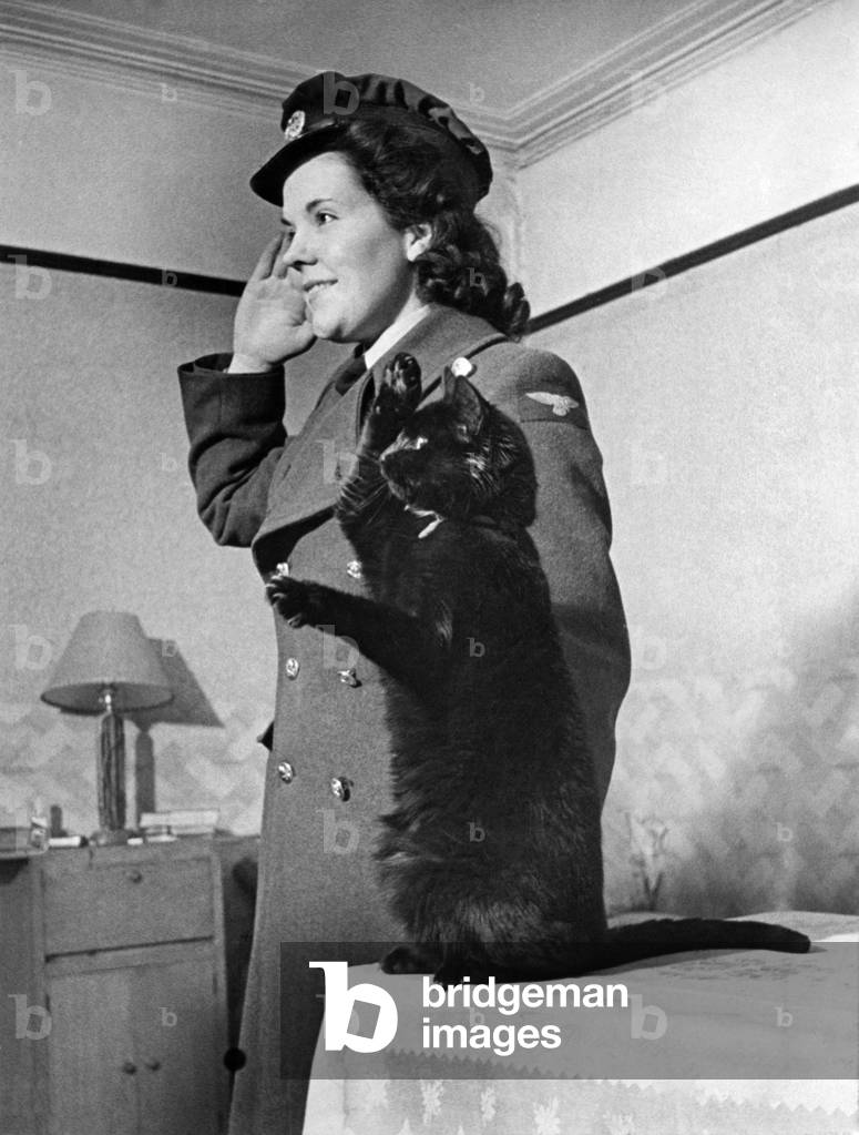 Image of In 1940 Smoky the cat was rescued after an air