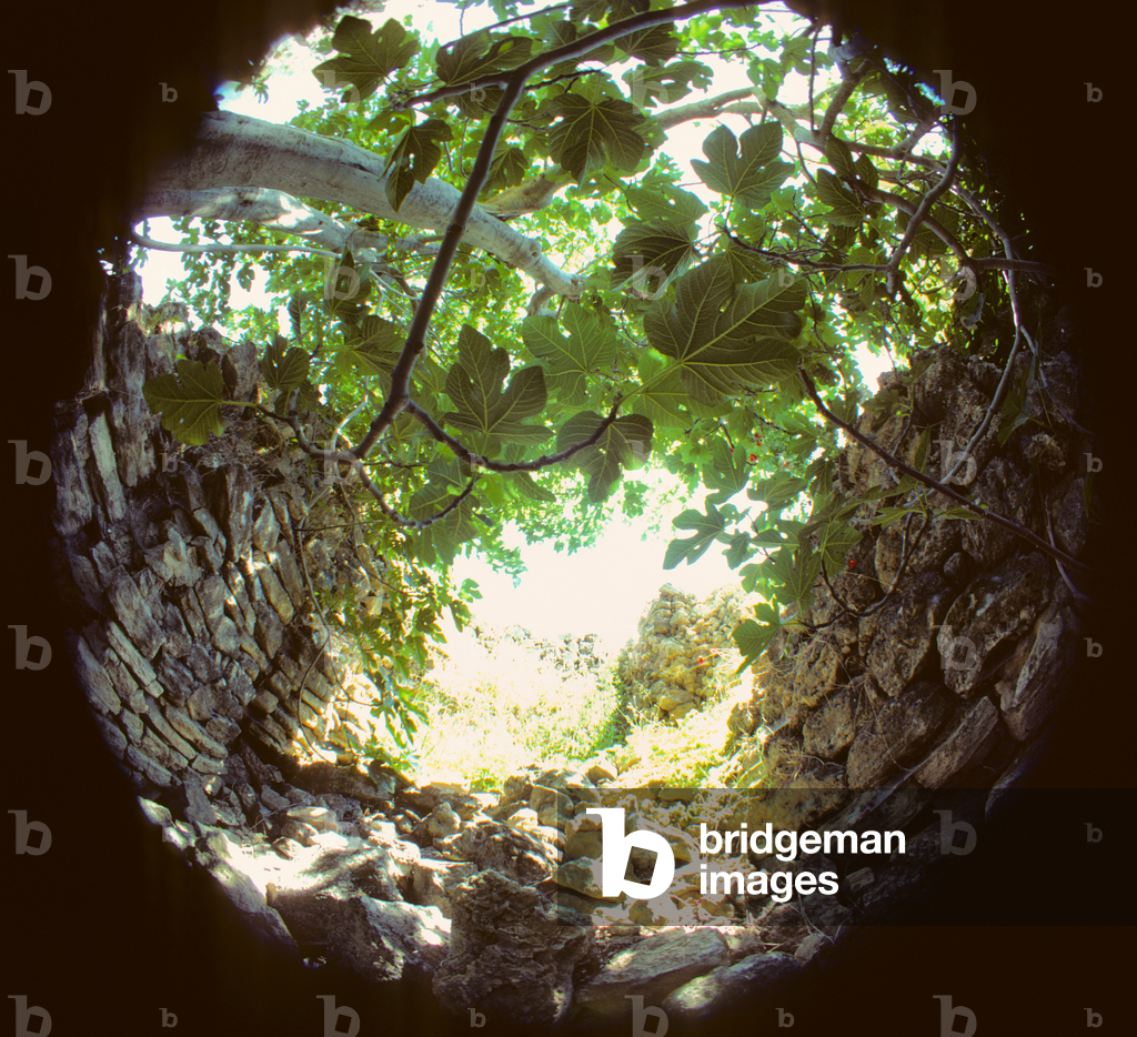 Image of The opening in a stone wall where the Trojan gold by Benn, Nathan