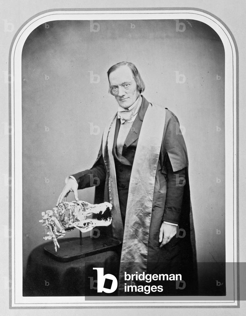 Image of Sir Richard Owen, c.1855 (b/w photo) by English Photographer ...