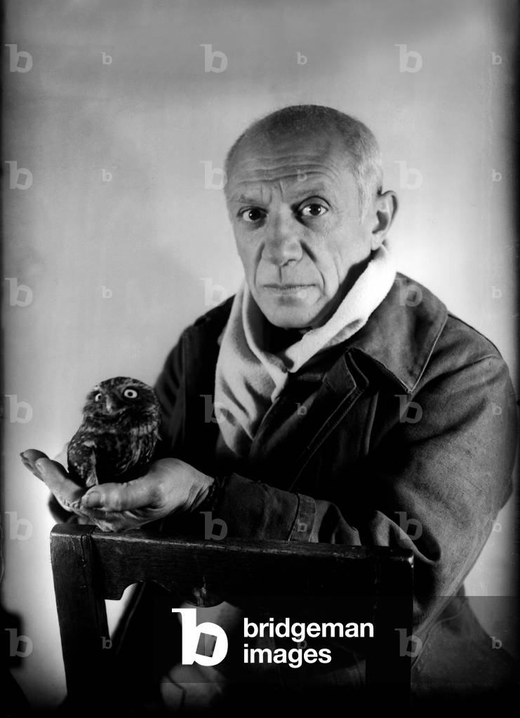 Image of Pablo Picasso with an owl, 1946 (b/w photo) by Picasso, Pablo ...