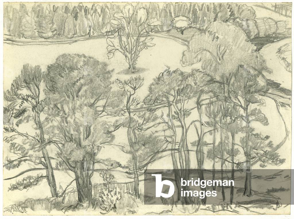 Image of Landscape With a Single Tree in a Field (pencil on by Gillies ...