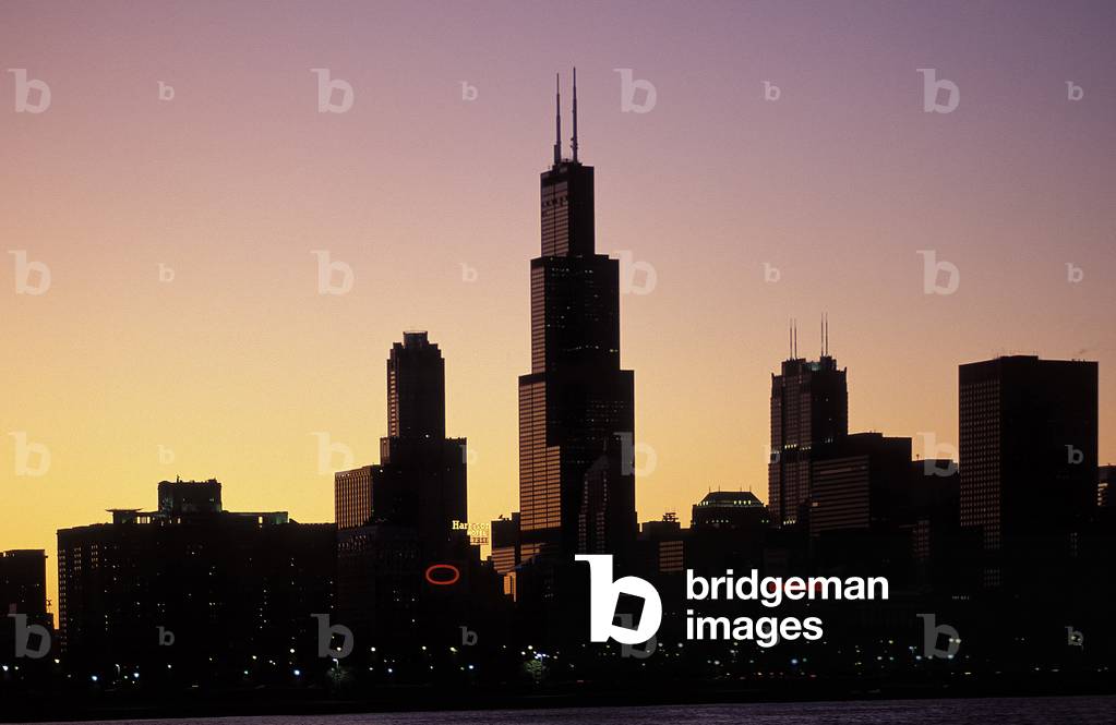 Image of Chicago: Skylines, Topographic Views, 1995 (photo)