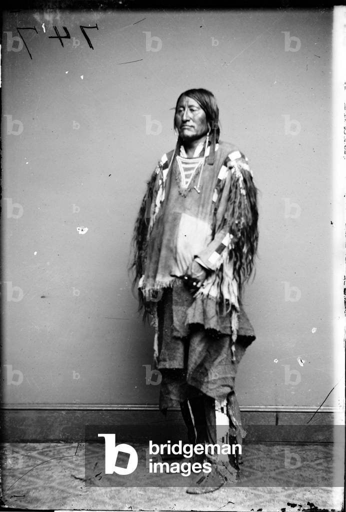 Image of Crow Indian Chief c. 1860