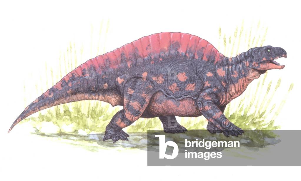 Lotosaurus