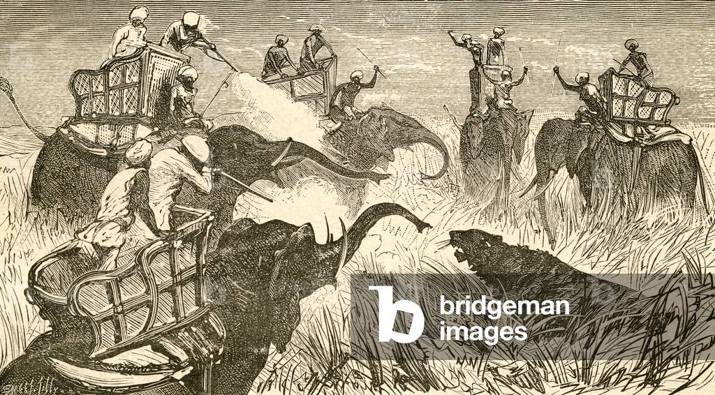 Image of Hunters mounted on elephants, during a tiger hunt in India