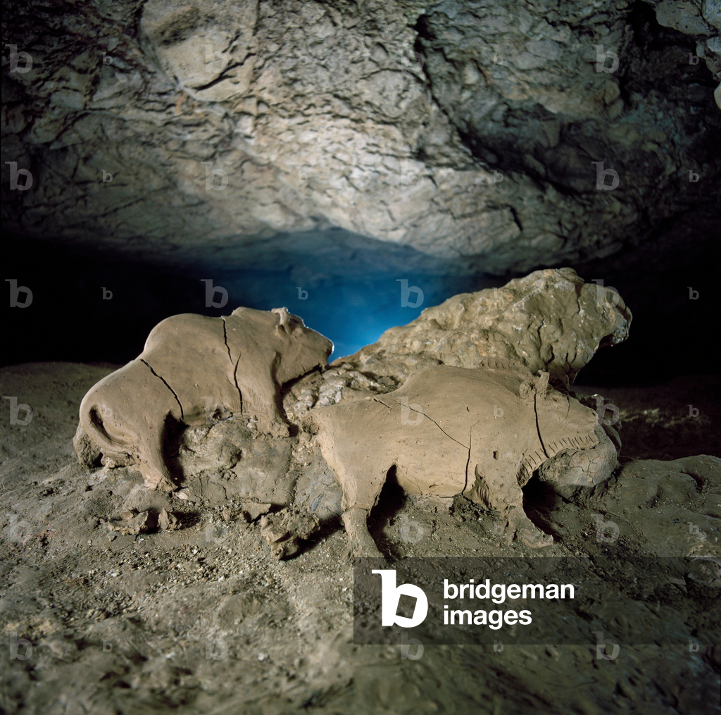 Image of Bison sculpted of clay 14,000 years ago in Tuc d'Audoubert by ...