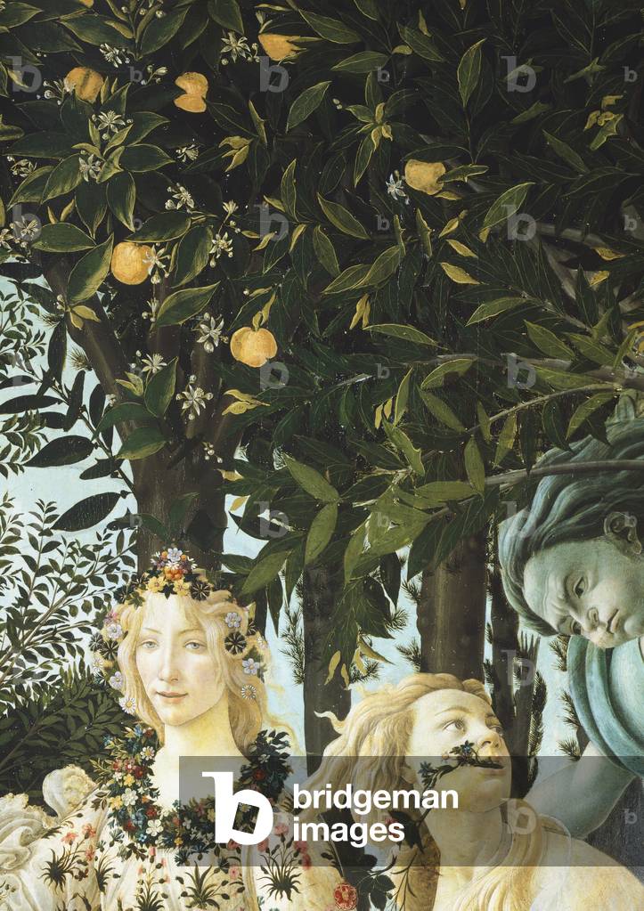 Image of Flora, Zephyrus and Cloris, detail from The Allegory of Spring by Botticelli, Sandro ...