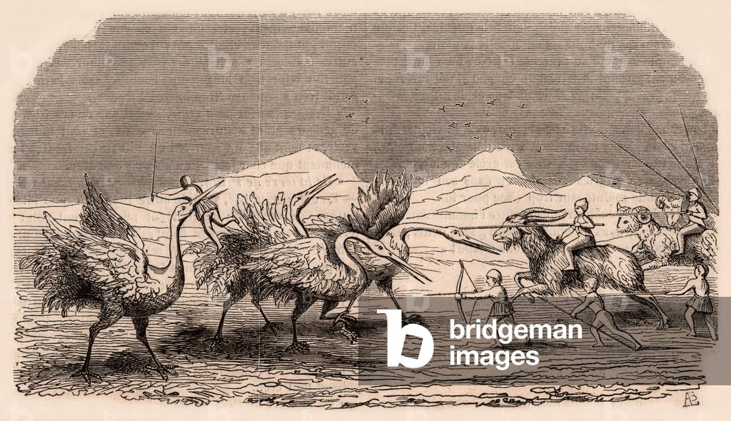 Image of Representation medieval tribes and animal species: group of ...