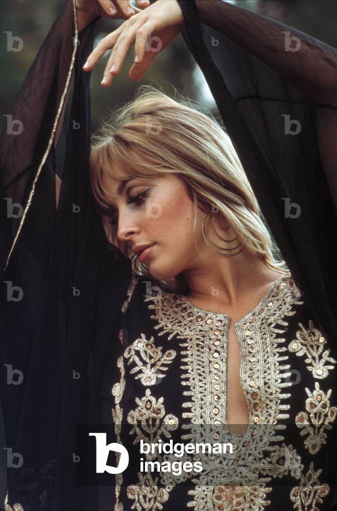 Image of Sharon Tate, 1966 (35mm color photograph) by Suero, Orlando ...