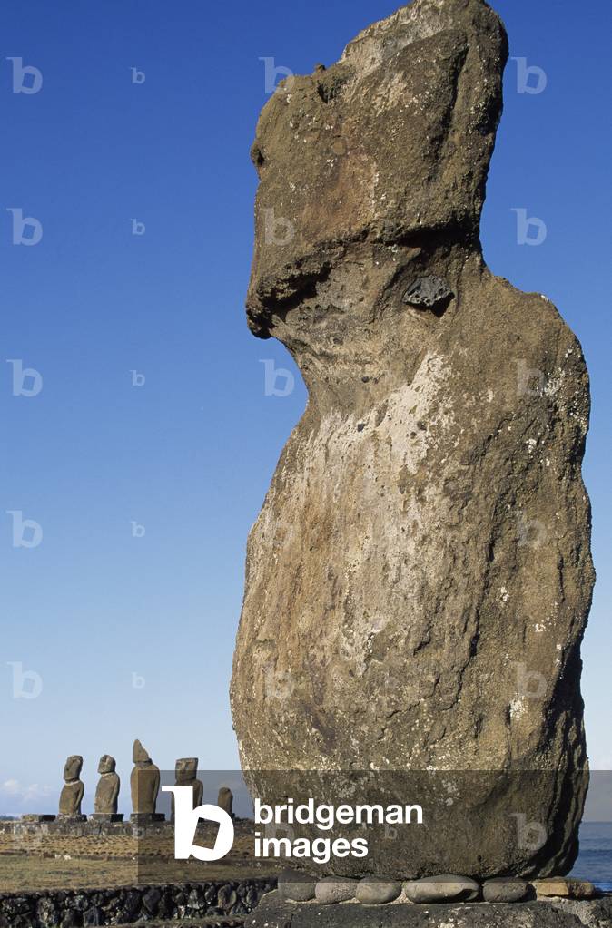 Image of Moai (megalithic anthropomorphic statues) of Ahu Tahai, Rapa ...