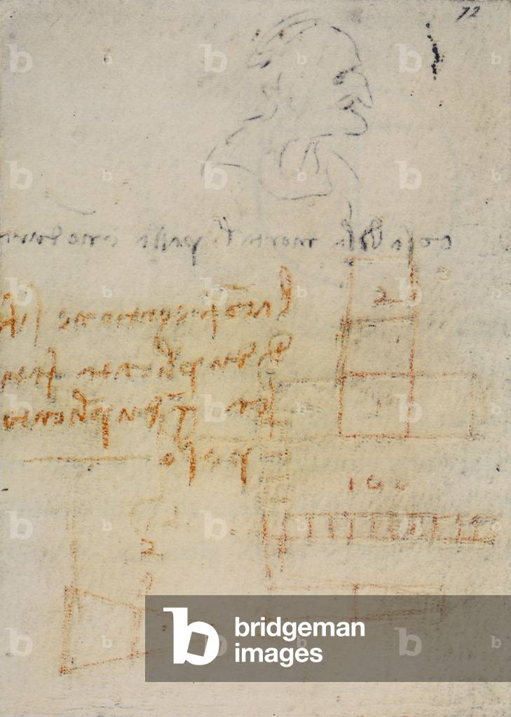Image of Codex Forster III, f.72r, réflexions et notes sur la physique ...