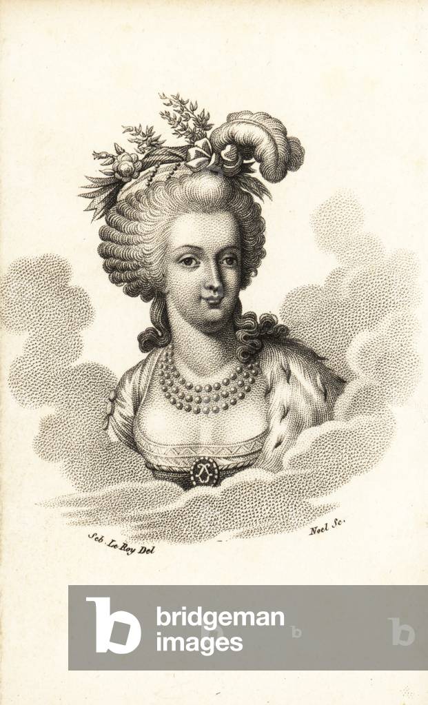 Image of Portrait of Marie Antoinette with pearl necklace, ermine cape ...